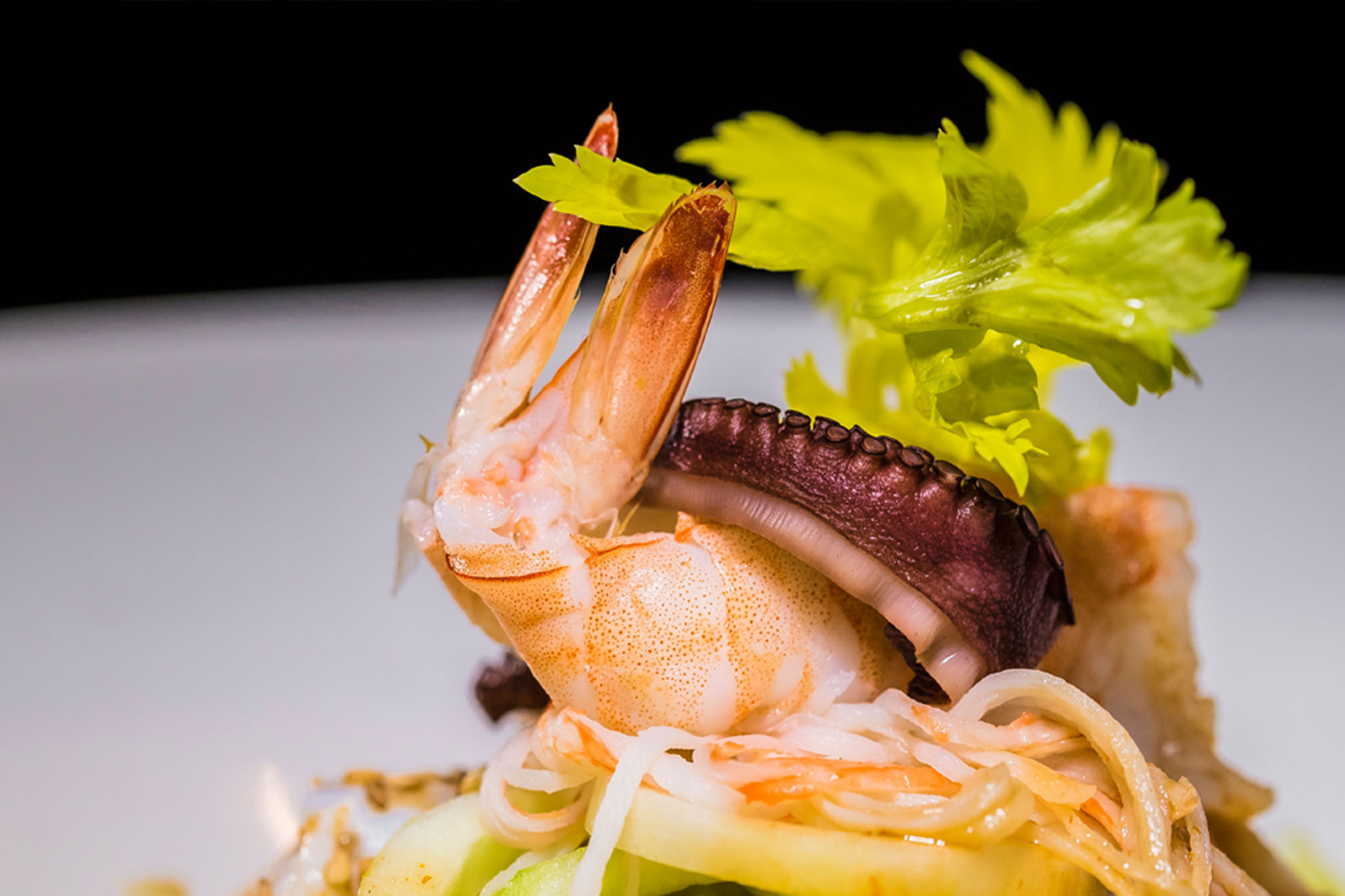HOME - RISING SUN SUSHI & FUSION RESTAURANT